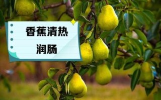 败火的食物水果有哪些_吃什么水果降火最快