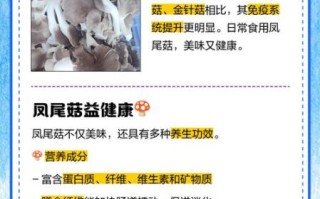 凤尾菇的营养价值_凤尾菇有哪些营养成分