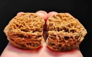 老款狮子头核桃如何鉴别_老款狮子头核桃价格多少