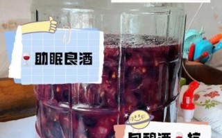家庭自酿葡萄酒的做法_酿葡萄酒需要哪些材料