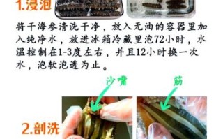 海参怎么泡发最快_快速泡发海参的正确方法
