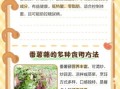 蕃薯藤的功效与作用_蕃薯藤怎么吃最好