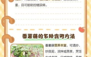 蕃薯藤的功效与作用_蕃薯藤怎么吃最好