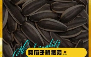 葵瓜怎么吃_葵瓜的功效与作用