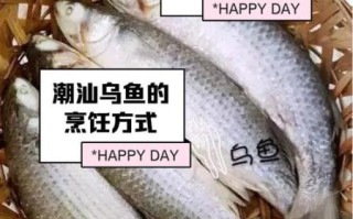 乌鱼影视免费追剧大全在线观看_乌鱼影视安全吗