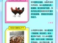 草鸡和土鸡的区别_哪个更好吃