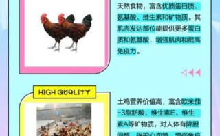 草鸡和土鸡的区别_哪个更好吃