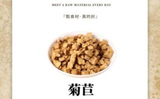 菊苣的功效与作用_菊苣怎么吃最好