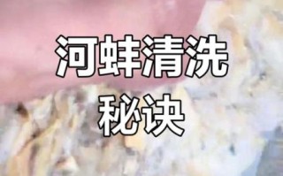 河蚌怎么清理内脏_河蚌内脏清理步骤 河蚌怎么清理内脏_河蚌内脏清理步骤