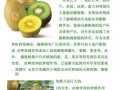 猕猴桃有什么好处_猕猴桃的营养价值