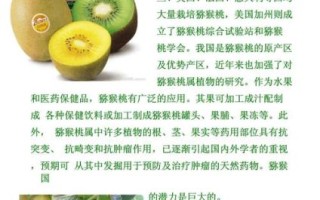 猕猴桃有什么好处_猕猴桃的营养价值 猕猴桃有什么好处_猕猴桃的营养价值