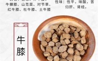 怀牛膝的功效与作用及禁忌_怀牛膝什么人不能吃