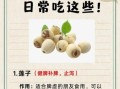 补脾的食物有哪些_脾虚吃什么食物好得快