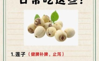 补脾的食物有哪些_脾虚吃什么食物好得快