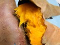 家庭烤箱烤红薯要多长时间_烤红薯用多少度