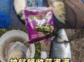 自制钓鲢鳙饵料配方_鲢鳙饵料怎么做才好用