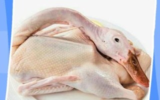 鹅肉为什么有毒_老人说鹅肉很毒是真的吗