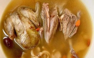 鸽子汤怎么炖好喝_鸽子汤去腥增香技巧