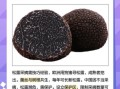 顶级白松露多少钱一斤_白松露价格为什么那么贵
