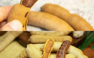 甜角吃多了会上火吗_甜角一天吃多少合适