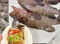 野生石斑鱼怎么清蒸_野生石斑鱼家常做法