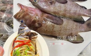 野生石斑鱼怎么清蒸_野生石斑鱼家常做法