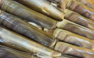 蛏子王多少钱一斤_蛏子王价格行情