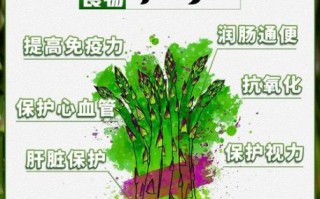 芦笋图片功效与作用_芦笋怎么吃最营养