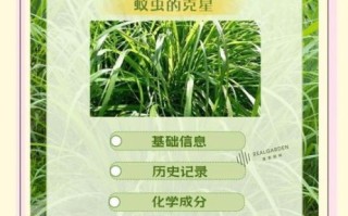 香茅精油驱蚊有用吗_香茅精油怎么使用驱蚊