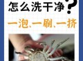 螃蟹怎么清洗干净内脏_螃蟹清洗内脏的详细步骤