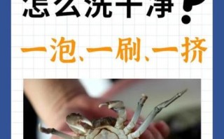 螃蟹怎么清洗干净内脏_螃蟹清洗内脏的详细步骤