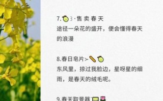 赏油菜花的心情短句_如何写出走心文案