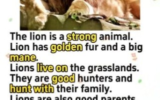 狮子英语怎么样_狮子英语靠谱吗