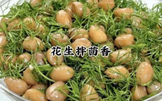 炝拌菜的做法大全_炝拌菜怎么做好吃