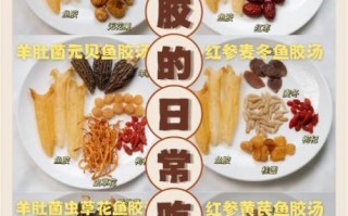 鱼胶炖汤的做法_如何去除腥味