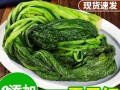 雪里红怎么腌制_雪里红腌制方法