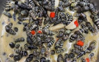 海螺丝焯水冷水还是热水下锅_海螺丝焯水正确方法