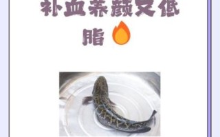 乌鱼怎么做好吃_乌鱼营养价值有哪些