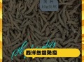 花旗参的功效与作用及禁忌_花旗参适合什么人吃