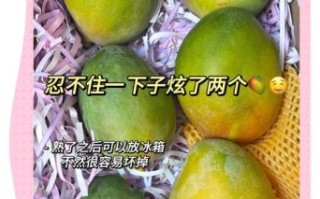 芒果怎么催熟_芒果没熟怎么快速变甜