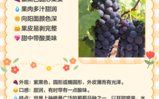 含碱性的水果有哪些_哪些水果碱性最强