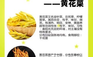 黄花菜有什么功效与作用_黄花菜怎么吃最营养