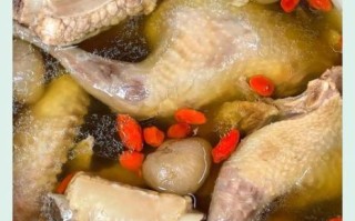 炖鸽子汤的做法_鸽子汤怎么炖才营养