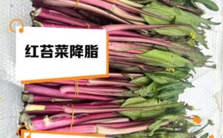 红菜苔的功效与作用及禁忌_什么人不能吃