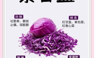 紫甘蓝的营养价值_紫甘蓝的功效与作用