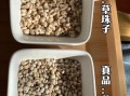 野生薏米长什么样_如何辨别真假
