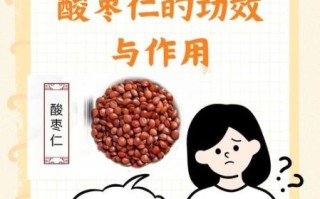 酸枣的营养价值_酸枣的功效与作用有哪些