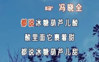 都说冰糖葫芦酸原唱是谁_歌词背后故事