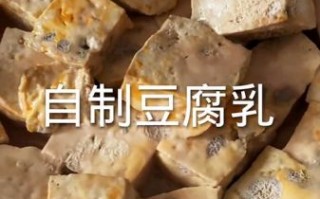 腐乳的做法大全_自制腐乳怎么保存