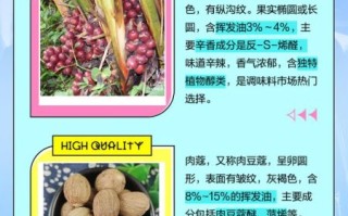 草寇和肉蔻的区别_草寇和肉蔻哪个更香